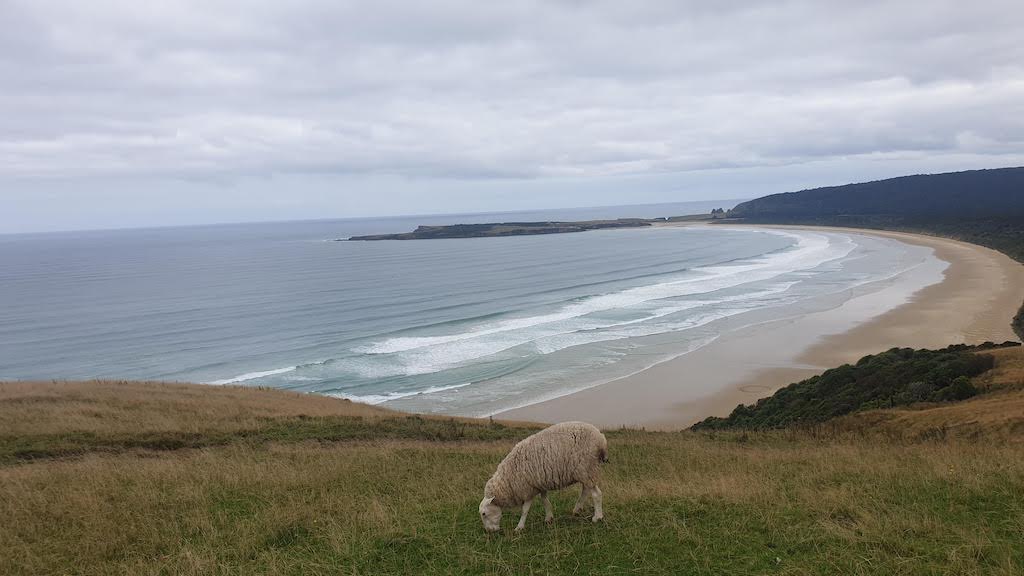Découvrir Catlins national park et Slope Point - Destination TDM
